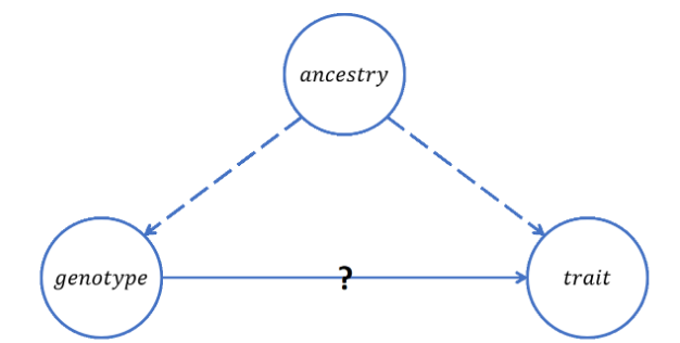 Chapter 2 Introduction to GWAS, Ancestry, and Local Ancestry Inference | Random Forests and ...