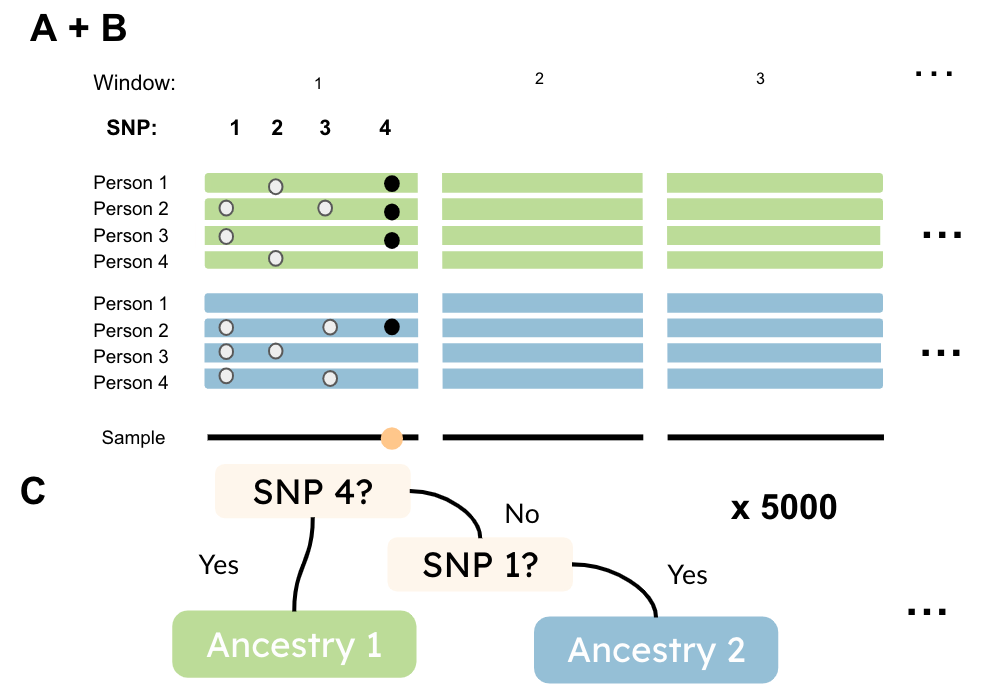 Chapter 5 Applications of Random Forests in Local Ancestry Inference ...